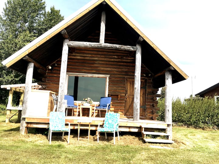 “We’re Back “ Cabin By Kenai River With Mt. View - Kenai, AK