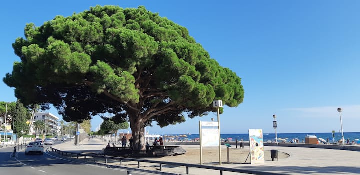 Ca' Sacama A Cambrils, Costa Dorada. - Cambrils