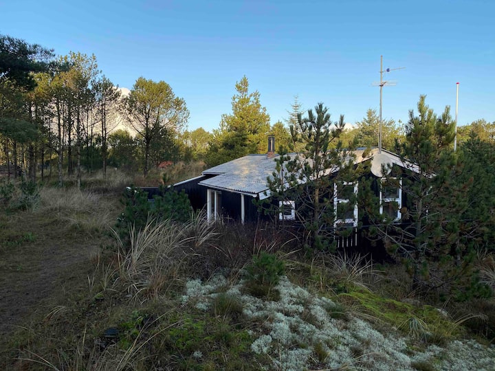 Hyggeligt Sommerhus I Nationalpark Thy/cold Hawaii - Thisted