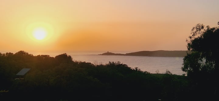 Coup De Cœur Vue Mer & Grande Terrasse à Cargèse - Cargèse