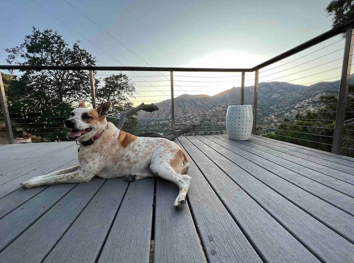 Bohemian Mountain Glamporama ☀️✨ - California