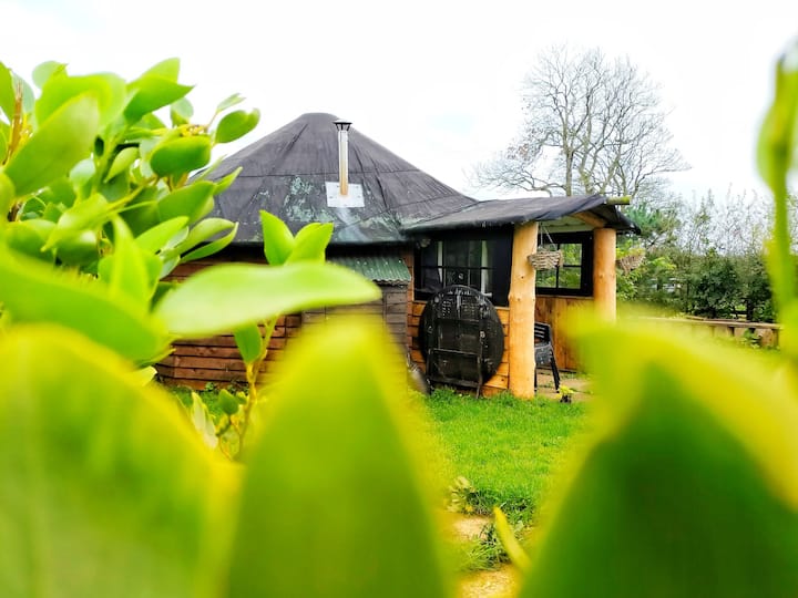 The Roundhouse Holiday - Bangor University