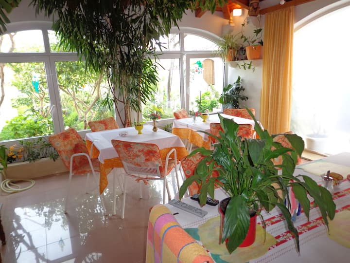 Mladineo Room S2 Bol
Soba S Kuhinjom - Bol