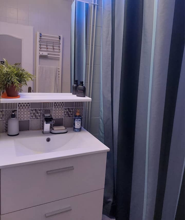 Grenoble Appart  Cosy Pour 1 à 3 Personnes - Université Grenoble Alpes