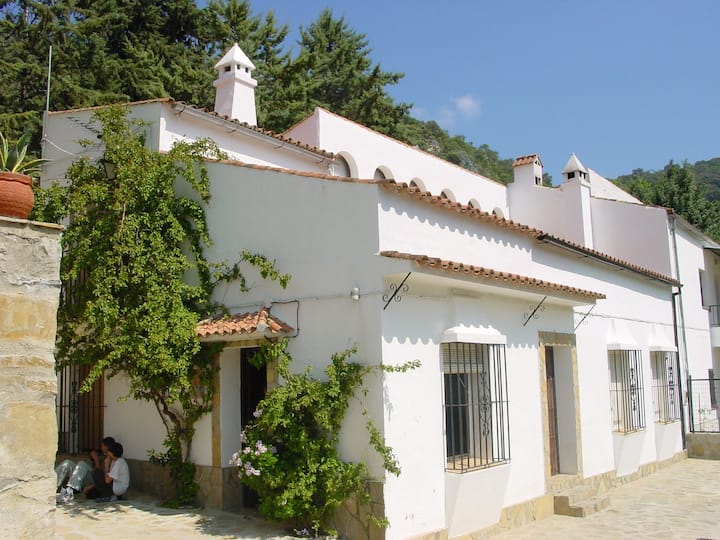 Abejaruco - Grazalema