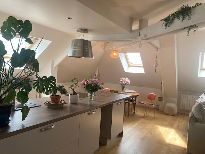 Large Flat Close To Train Station Of Le Mans/24h - Le Mans