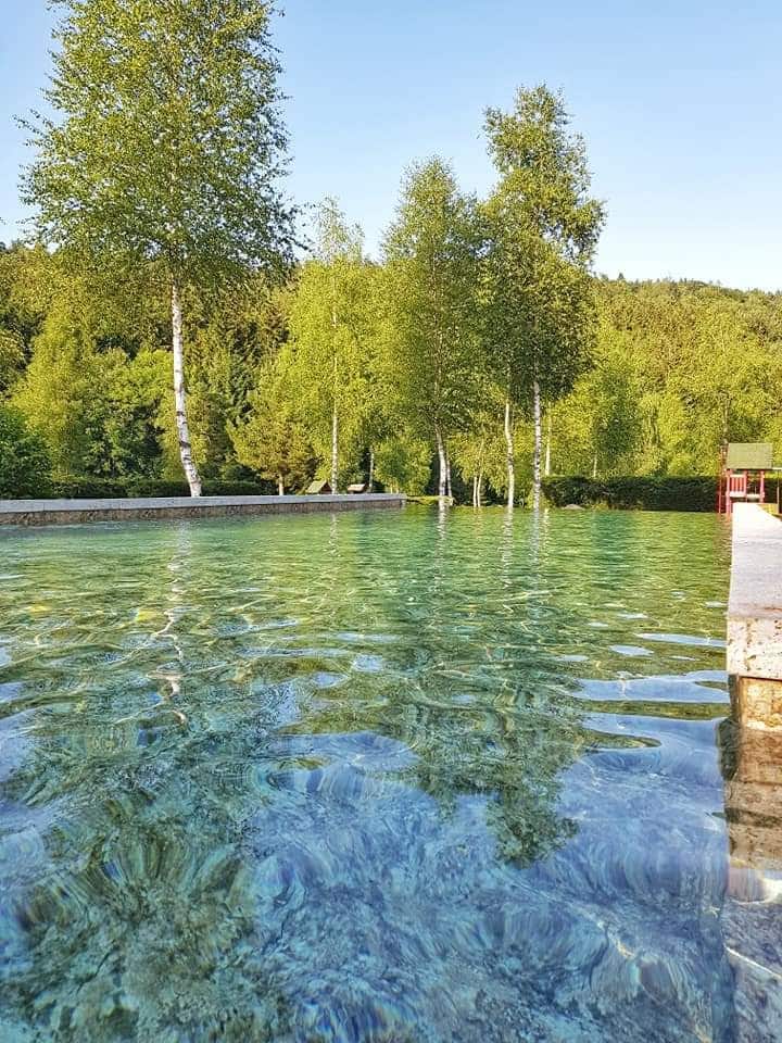 Les Jolis Chalets, Lodge Spa Privé Et Piscine - Xonrupt-Longemer