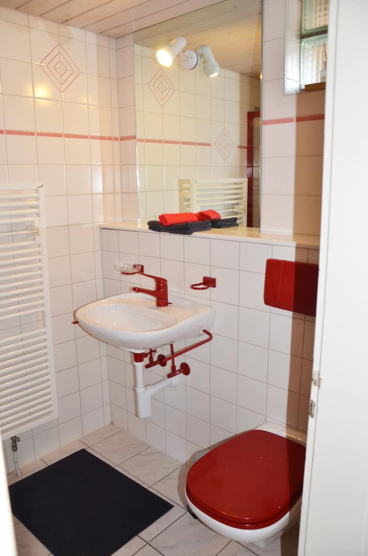 Flat Harderblick - Habkern