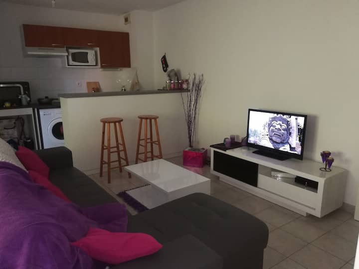 Appartement Calme Bien Situé Proche Centre Tlse - Toulouse