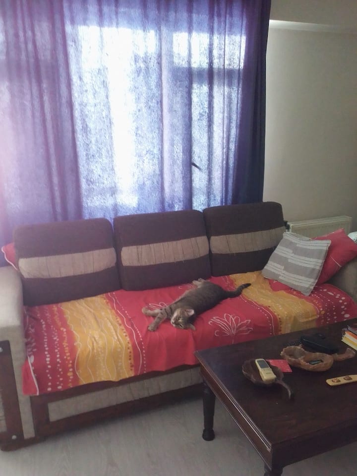 Temiz Oda, Lezzetli Kahvaltı - イズミル