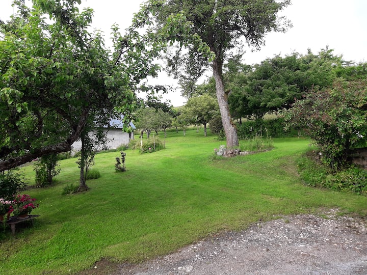 Appart T2 (50 M2) Situé à 1100 M - La Féclaz