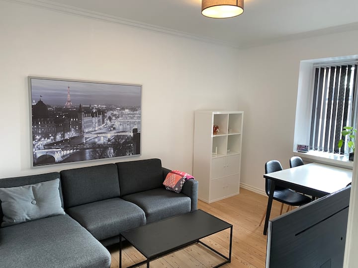 Skøn Lejlighed Tæt På Odense Centrum - Odense