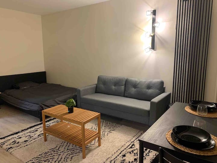 Superbe Studio Proche De La Frontière Suisse