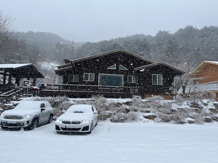 넓은 공간의 트리하우스! - South Korea