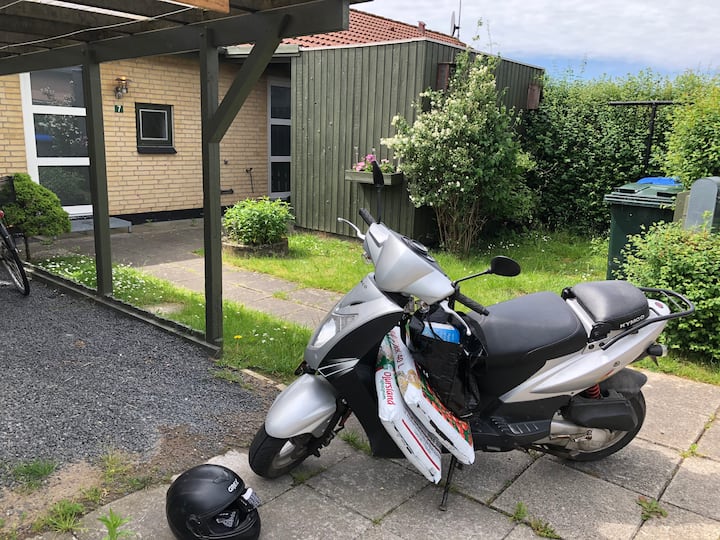 Acogedor jardín - Departamentos en renta en Fårevejle, Dinamarca - Airbnb