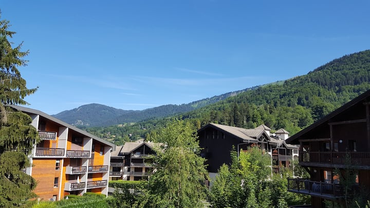 Studio Samoëns Village Pour 4 - Samoëns