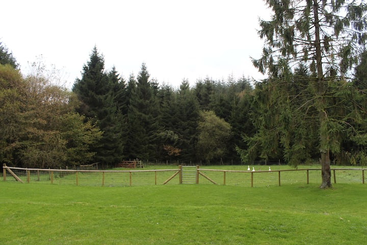 Hen House In The Crychan Holiday Cottage - Llandovery