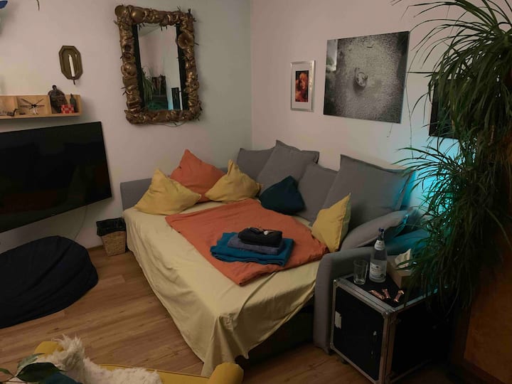 Zimmer In Zentrums-/messenähe - Cologne