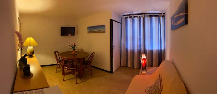 Vacances Ou Weekend à Biscarrosse - Plage - Biscarrosse