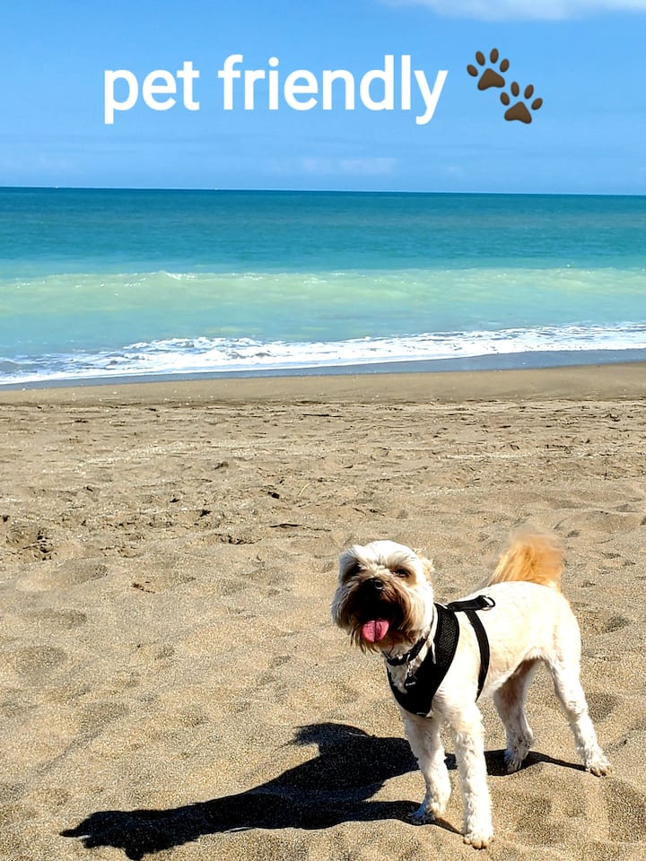 Family &  Fur Baby Friendly Hutchinson Island Seaside Cozy Condo Hidden Gem - Fort Pierce, FL