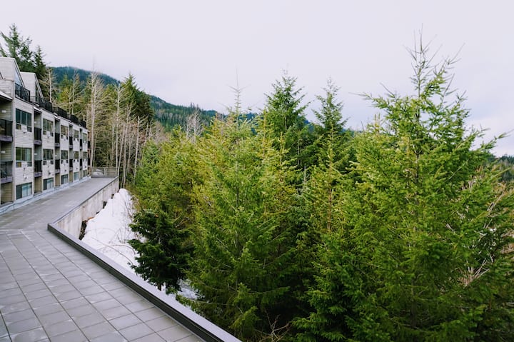 2bd View Condo Whistler Creekside Village Sleeps 8 - 
