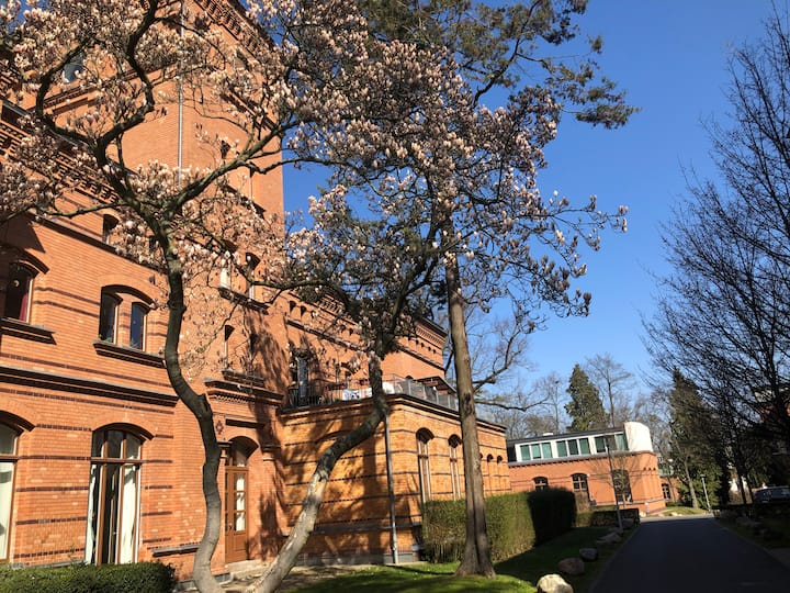Historische Wohnung In Potsdamer Parklandschaft - Potsdam