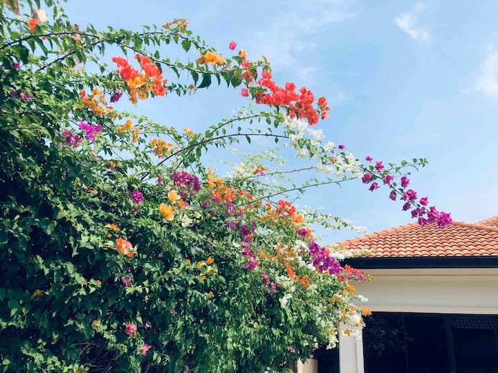 3bedroom Beautiful Pool Villa，三室泳池别墅临近市区 - Hua Hin