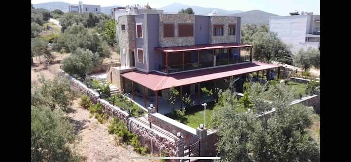 Taş Ev - Bademli̇ - Dikili