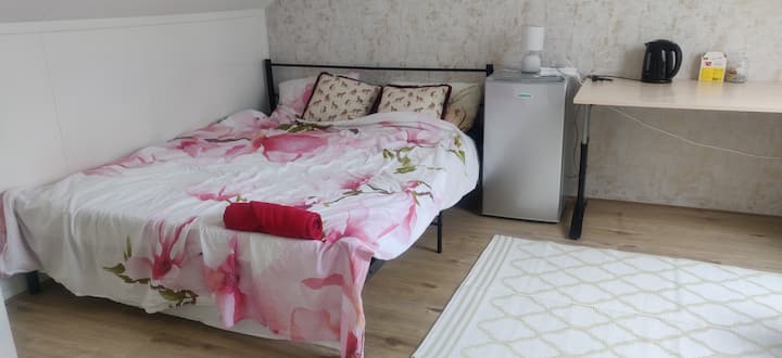 Gezellige Ruime Zolderkamer In Nijmegen - Nijmegen
