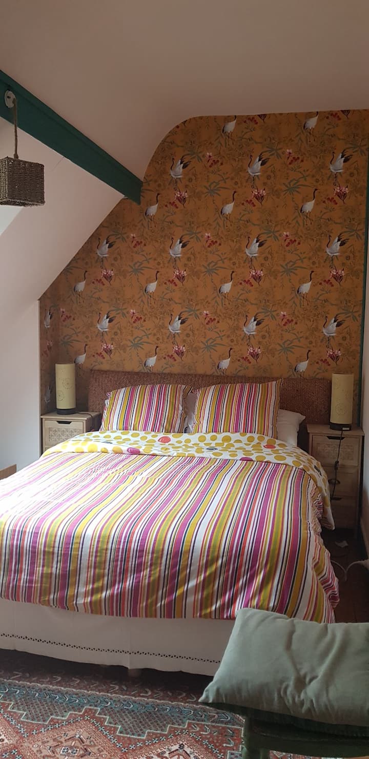 Chambre Dans Maison Ville - Laon