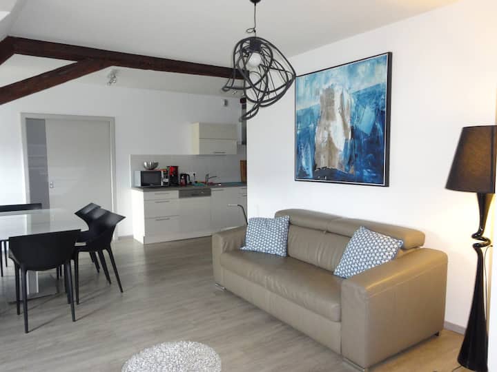 L'ill Apart 5 Pièces 130 M2 Vue Sur L'ill - ストラスブール