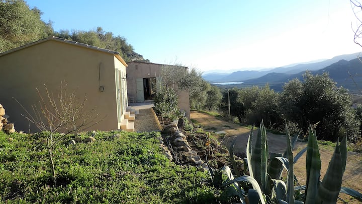 Beautiful Renovated Corsican Villa - Lumio