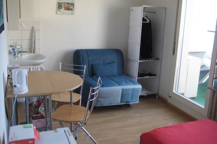 Bright And Quiet Private Room In Central Basel - Basel