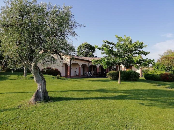 La Collina Degli Olivi - Grosseto