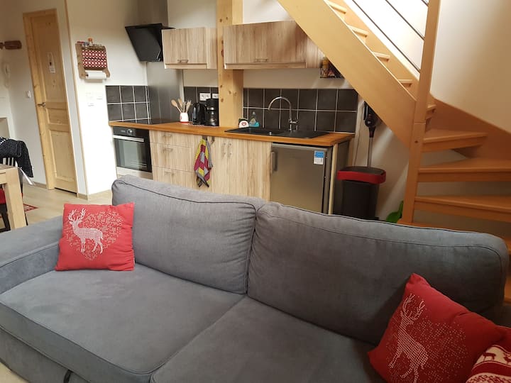 Appartement 2 à 6 Personnes - Lac Blanc