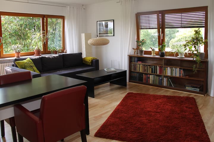 Große Wohnung Mit Grünem Balkon - Rheinfelden (Baden)
