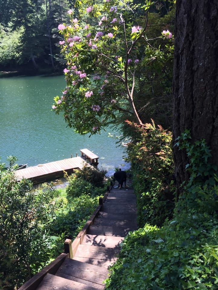 Longterm Cottage On Lake With Dock! Come Get Cozy! - Florence, OR