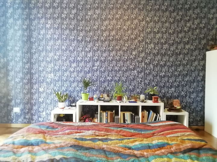 Appartamento Accogliente Con Piante E Colori - Torino