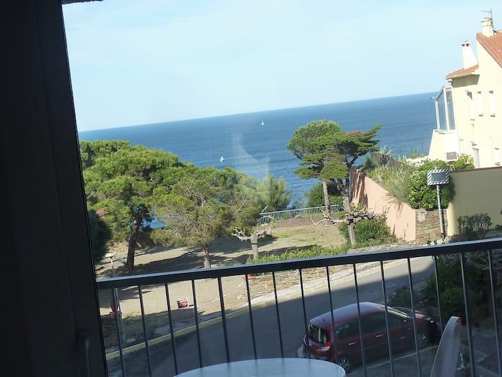 Appartement Climatisé Avec Vue Mer Et Montagne - Banyuls-sur-Mer