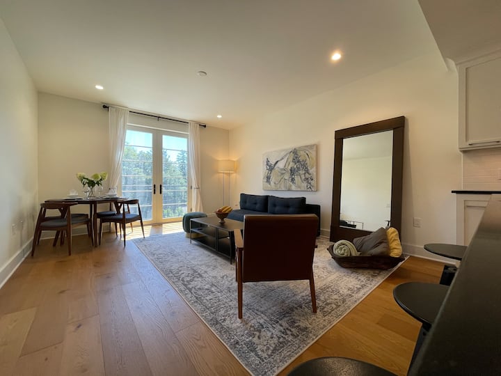 Luxury Apt In Downtown Great Barrington - Great Barrington, MA