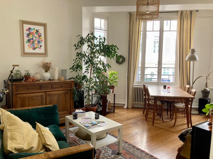 Appartement Typique à La Croix Rousse - Lyon