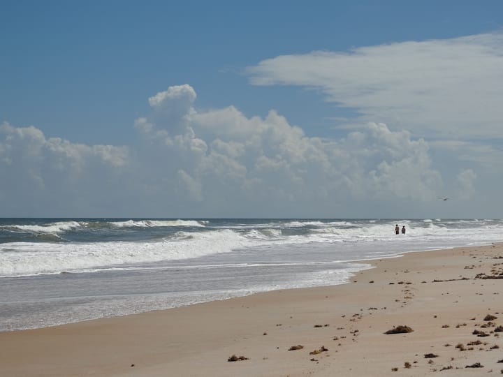 Ocean Getaway With Private Walkover To Beach - Ormond Beach, FL