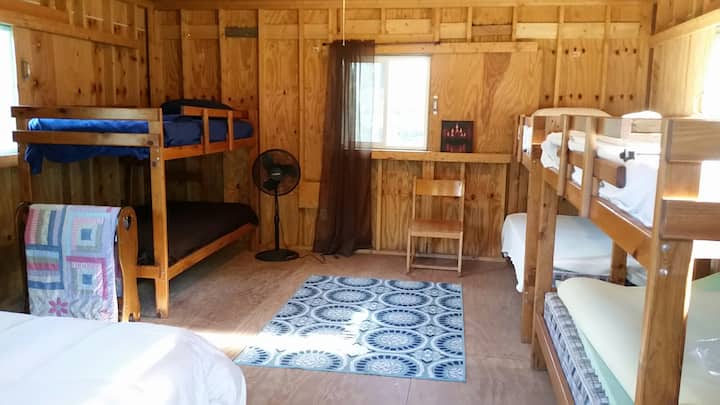 First Cabin ~ Moravian Falls - W. Kerr Scott Lake