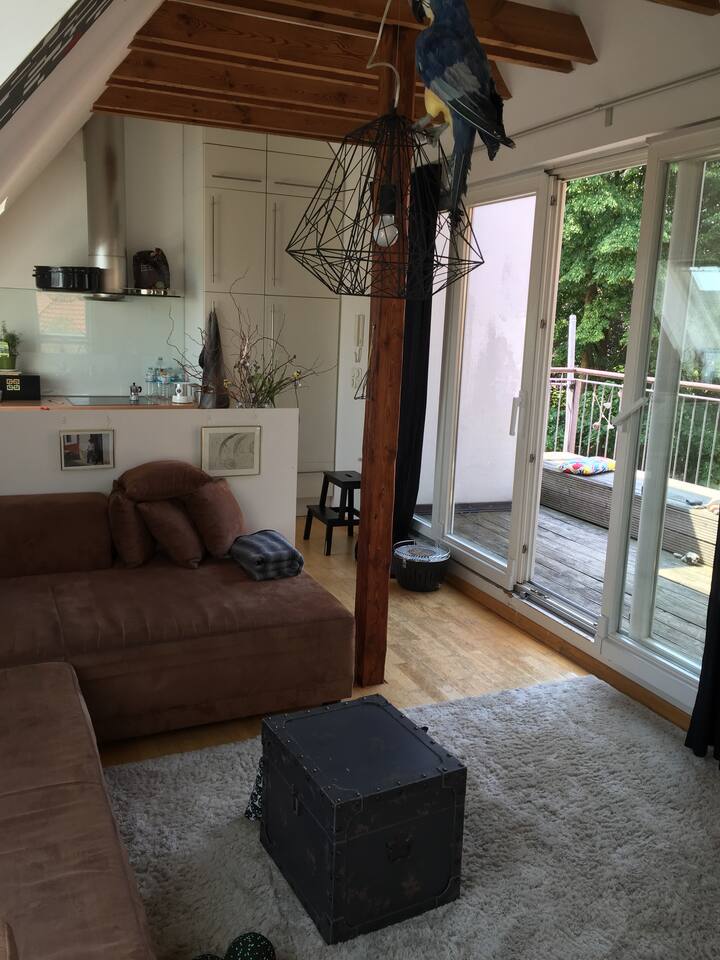 Sunny Duplex With Roofterrace In Hh - Hamburg