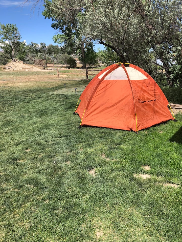 Shangri Lodge - Tent Site #1 - Grand Junction, CO