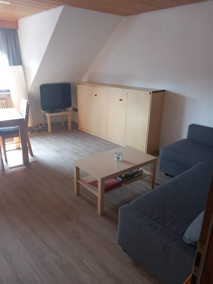 Haus Heidelberg Appartment 6 - Titisee-Neustadt