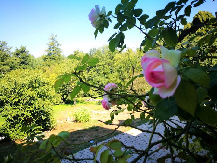 Magnifique Maison Et Immense Jardin - Aisne