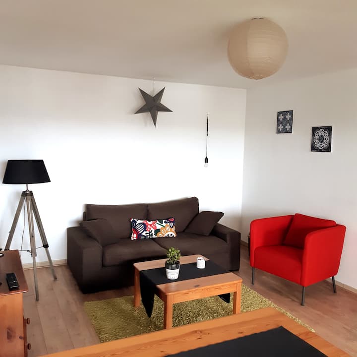 Joli T2 Lumineux Aux Portes De Rennes à Cesson - ibis Rennes Beaulieu