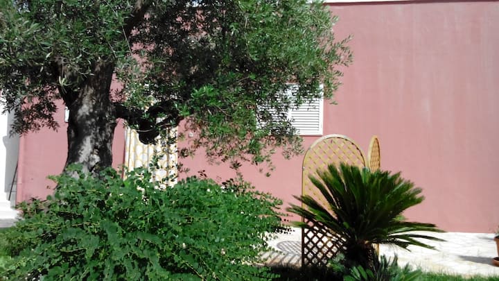 B&b "Il Cosmo": Orsa Minore - Fasano