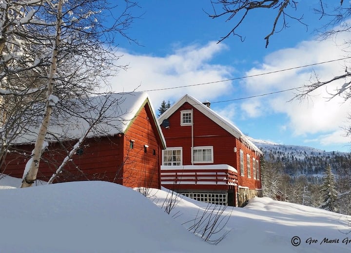 Mjølfjell Grendahus - Ulvik